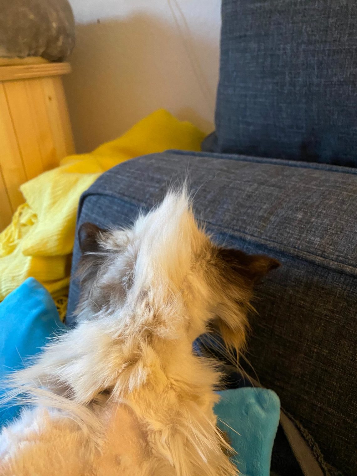 POULEMOUTH – DEPUIS QUE JE SUIS CHEZ KUMEA… – KUMEA