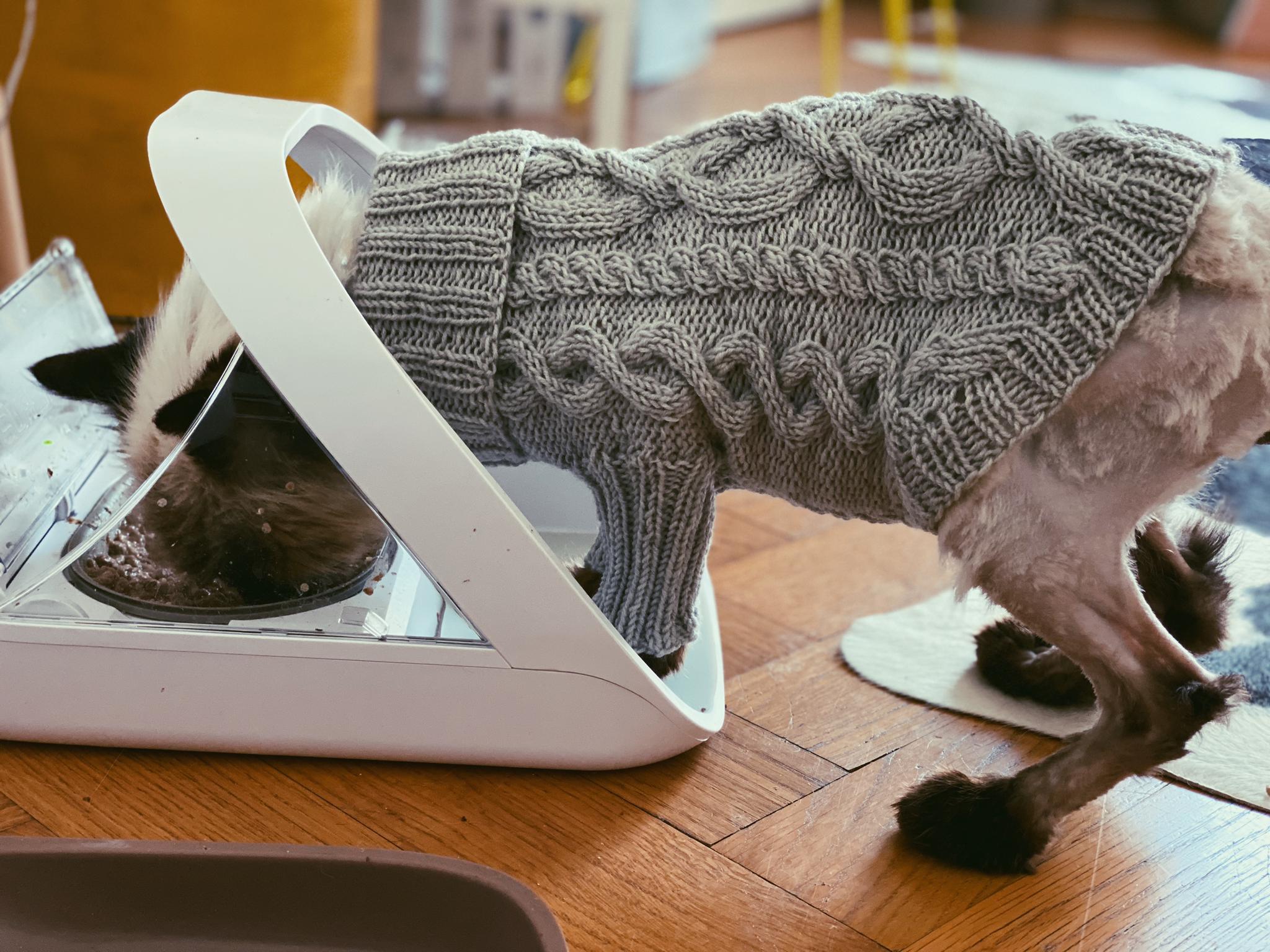 POULEMOUTH – DEPUIS QUE JE SUIS CHEZ KUMEA… – KUMEA