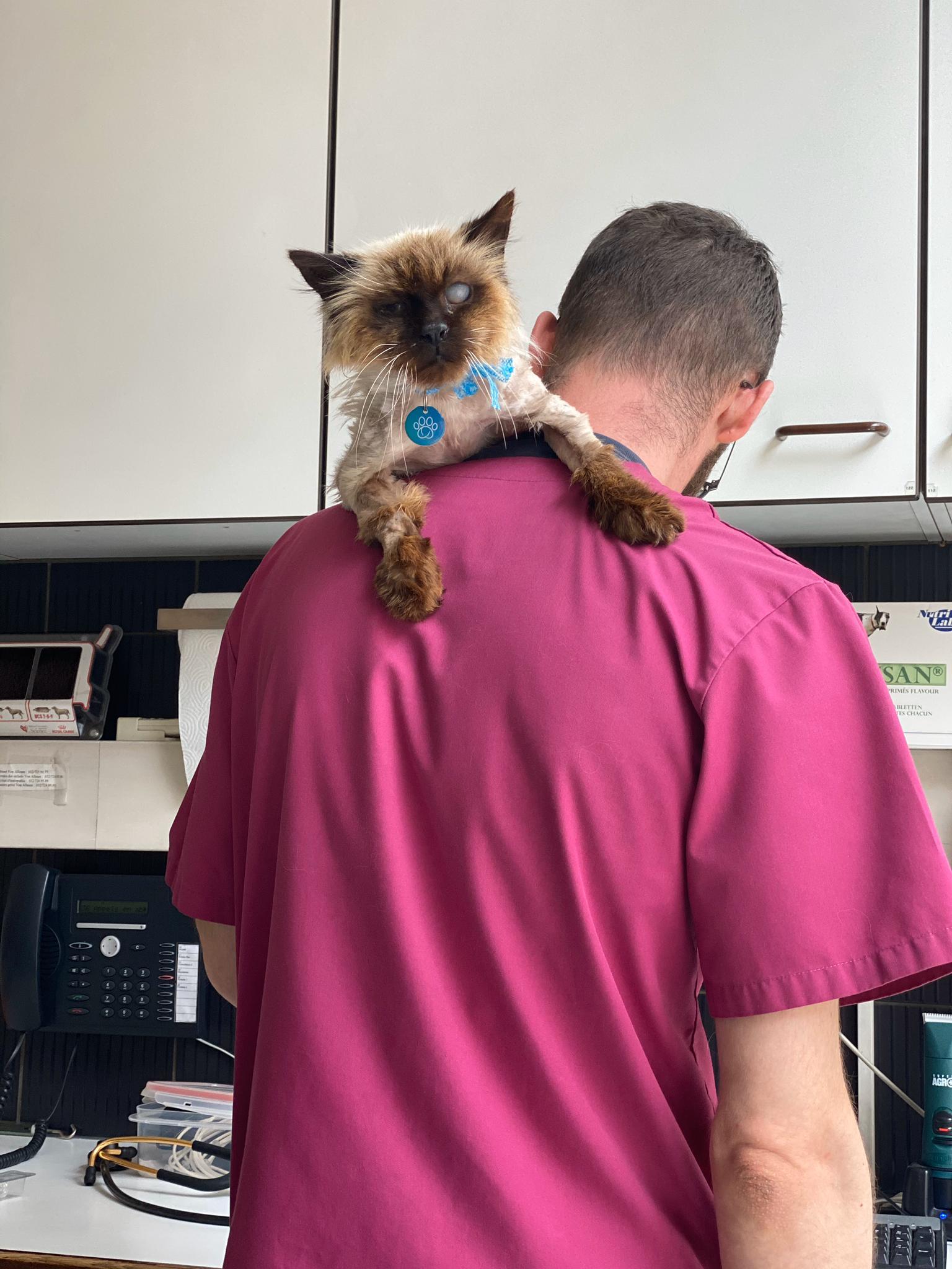 POULEMOUTH – DEPUIS QUE JE SUIS CHEZ KUMEA… – KUMEA