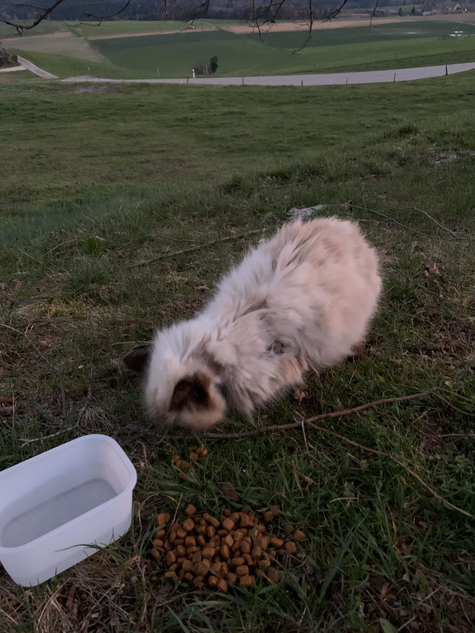 POULEMOUTH – DEPUIS QUE JE SUIS CHEZ KUMEA… – KUMEA